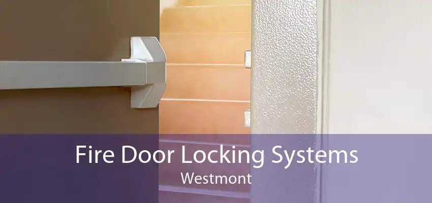 Fire Door Locking Systems Westmont | Fire Exit Door Lock System